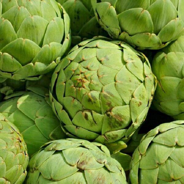 Atiso: Công dụng, bài thuốc hay và địa chỉ bán uy tín